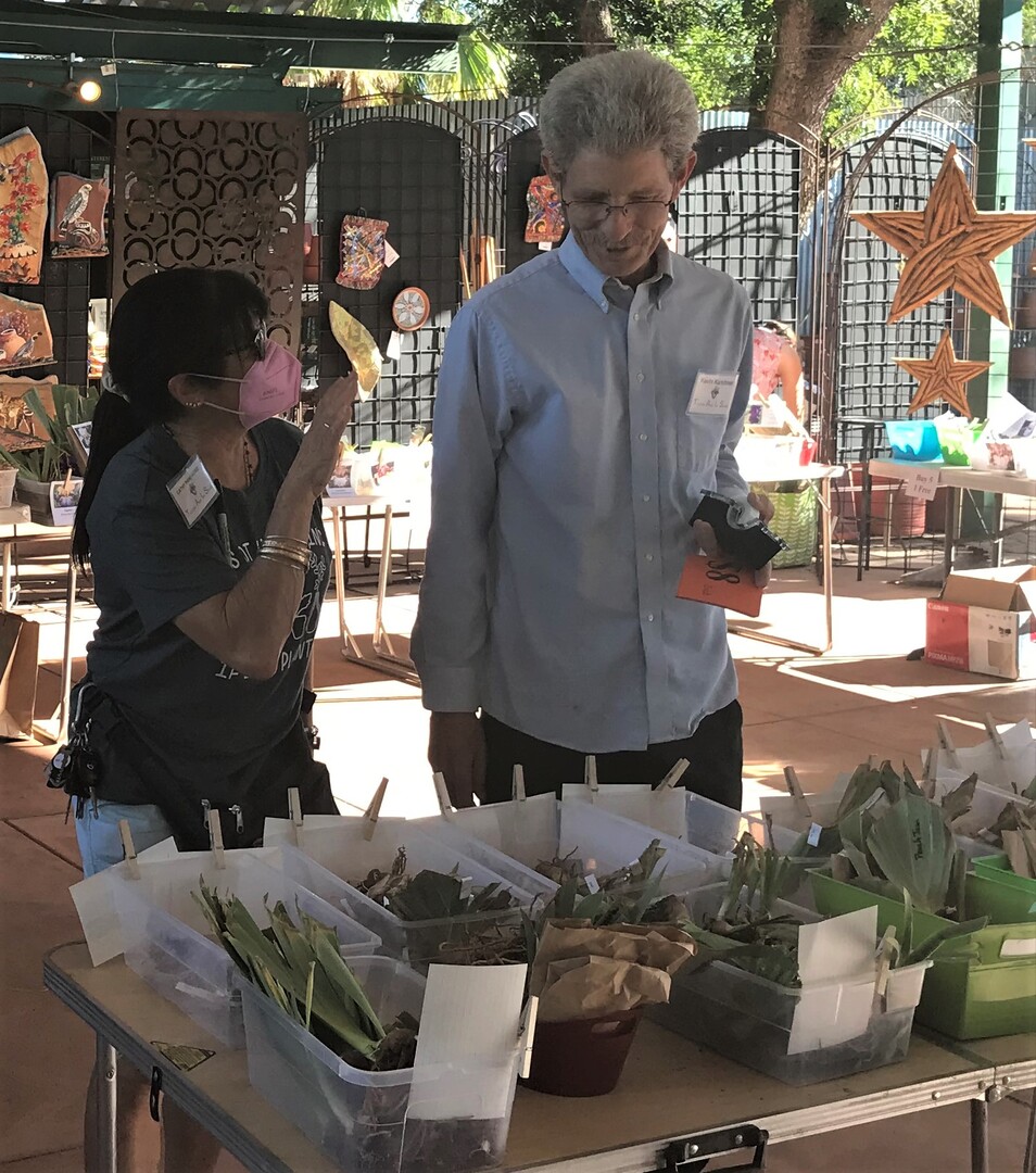 Photo Gallery - TAIS 2022 Annual Iris Rhizome Sale